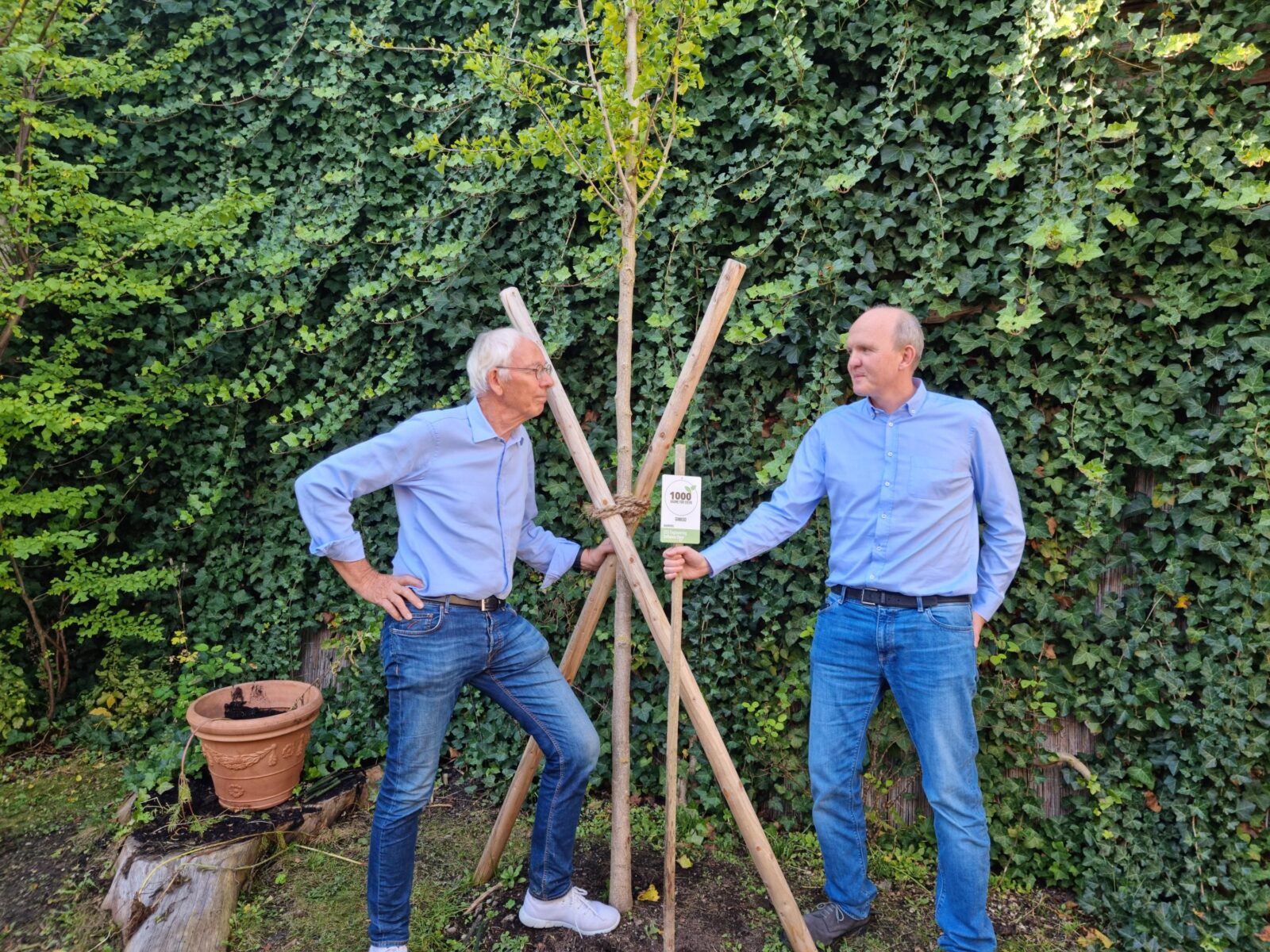 ESS - 1000 trees for Steyr